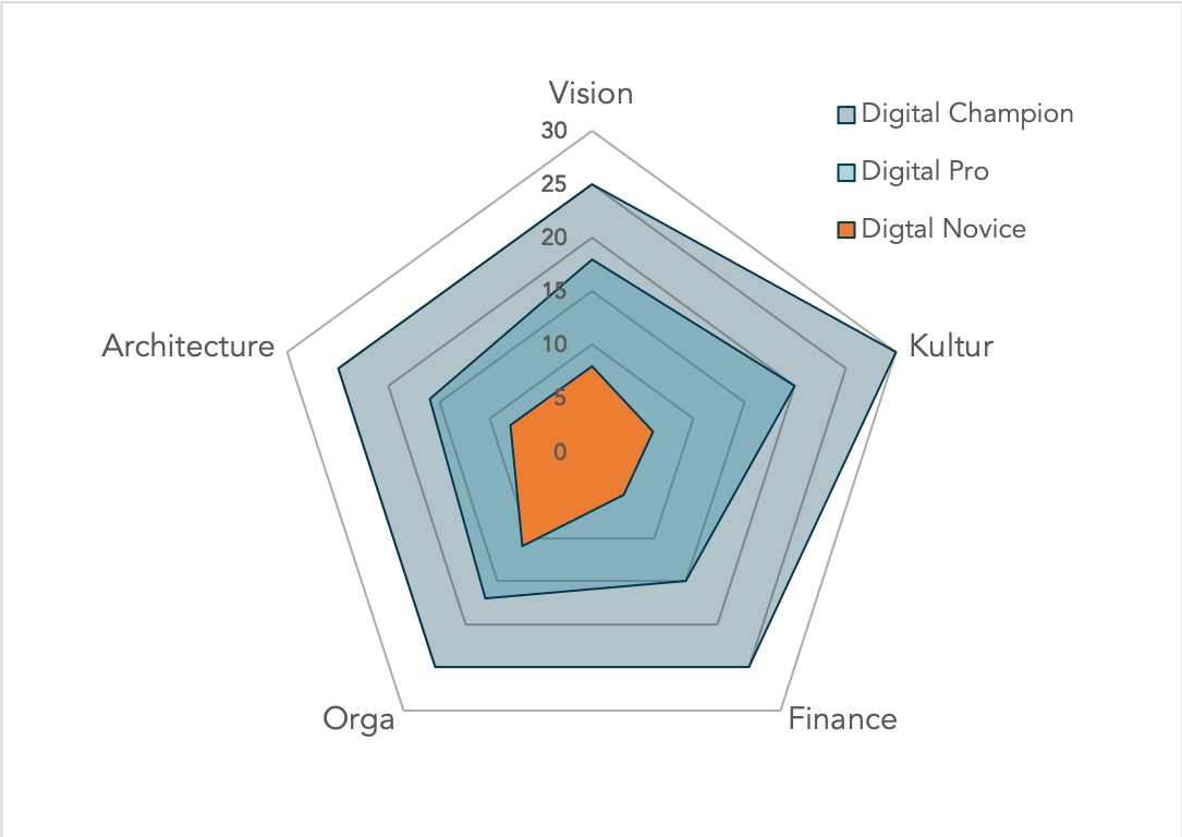 Maturity Model for the Digital Transformation | EACG